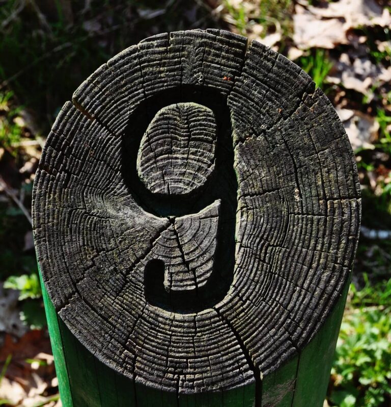 Numerology number 9 personality: Definitive Guide Reveals All
